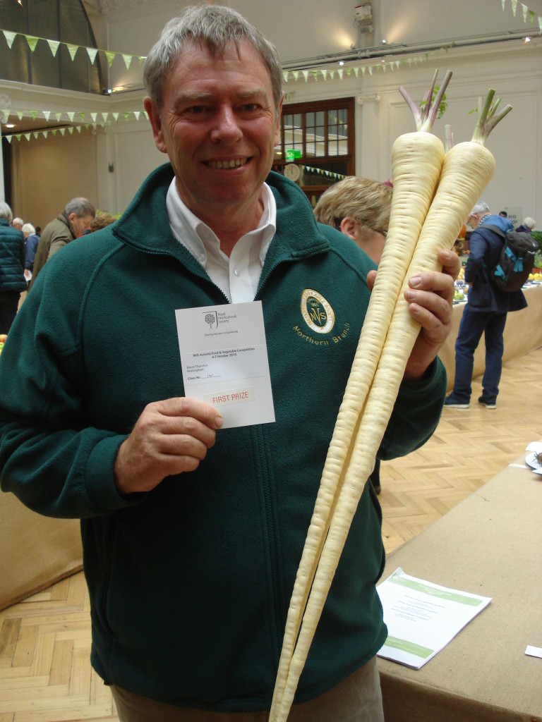 Parsnip - Victor F1 VICTOR F1 (200 seeds) Select Seeds
